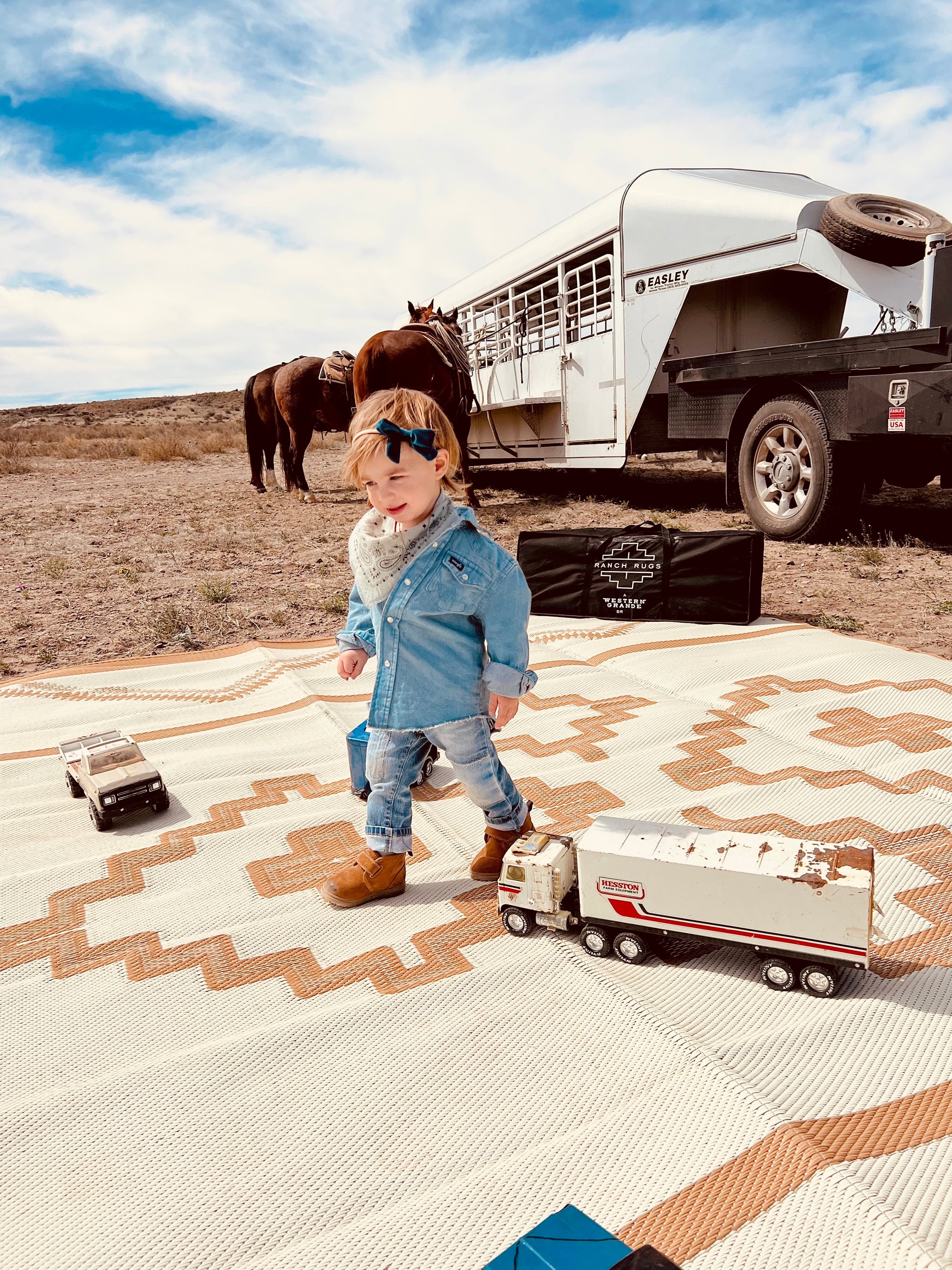 RANCH RUGS - 9ft x 12ft - ALPINE - Tan + Ivory – WesternGrande