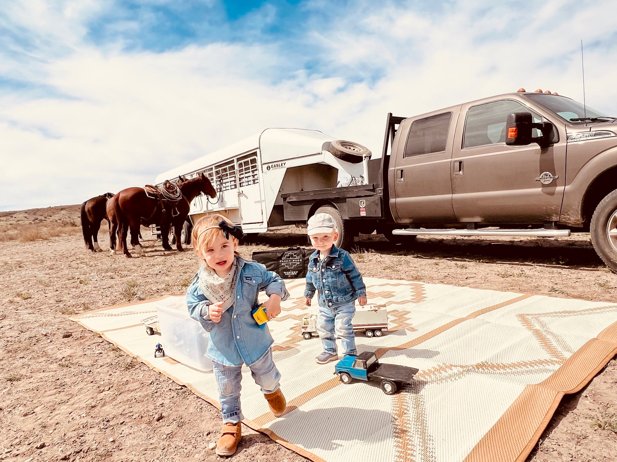 RANCH RUGS - 9ft x 12ft - ALPINE - Tan + Ivory – WesternGrande