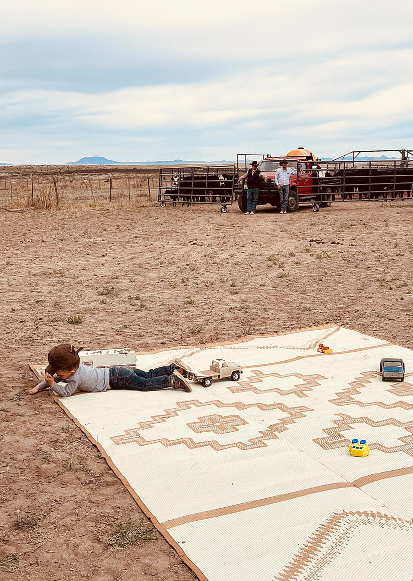 RANCH RUGS - 9ft x 12ft - ALPINE - Tan + Ivory – WesternGrande